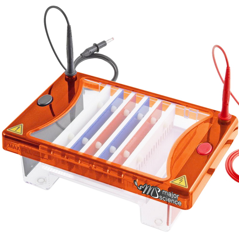 Horizontal gel electrophoresis system (ME15-7-10-15) from Major Science