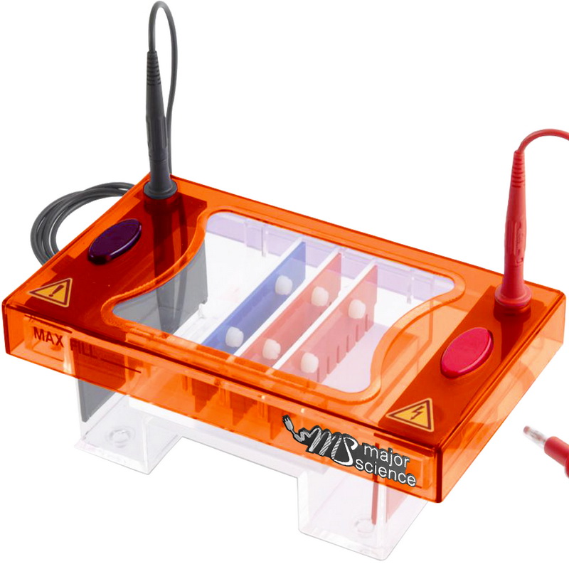 Major Science horizontal gel electrophoresis system (ME10-7-10)