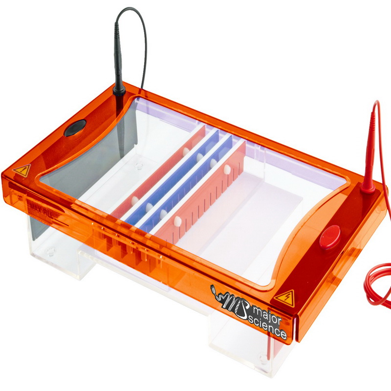 Horizontal gel electrophoresis system (ME20-10-20) from Major Science
