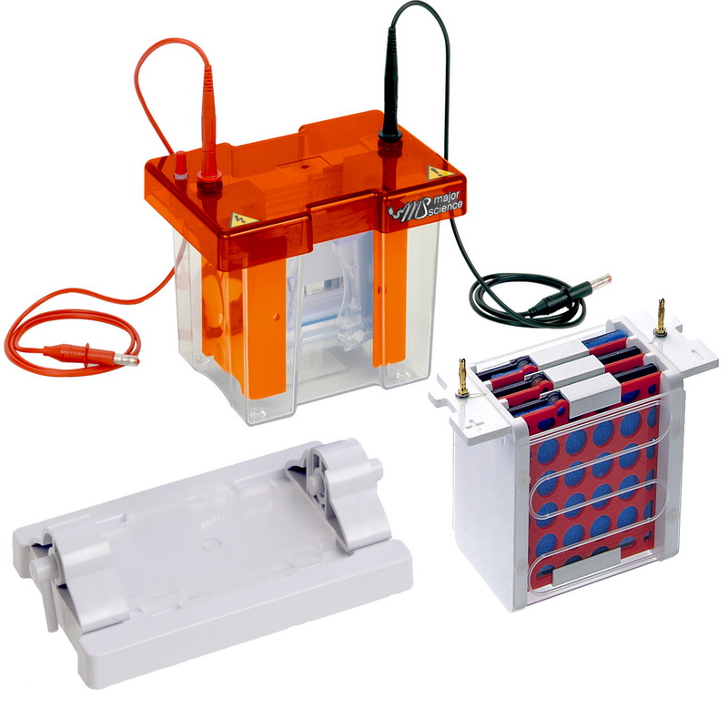 Major Science vertical gel electrophoresis and blotting system (MV-10CBS)