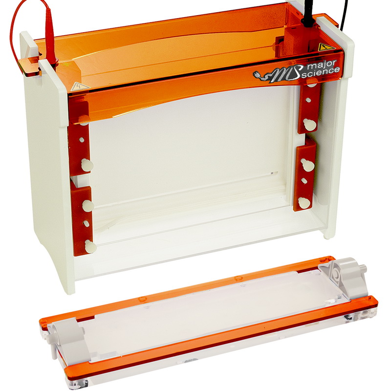 Major Science gel electrophoresis and blotting systems