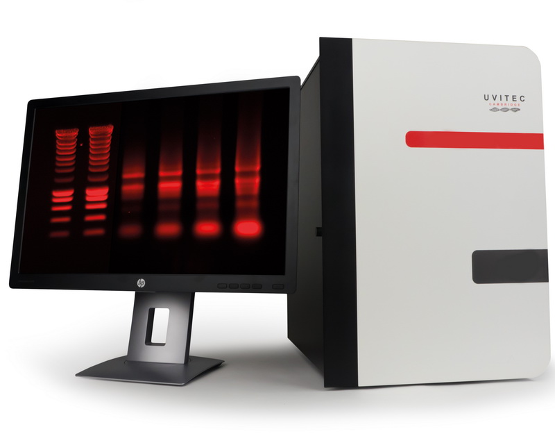UVITEC Essential V6 gel imager with 3 megapixel camera for fluorescence ...